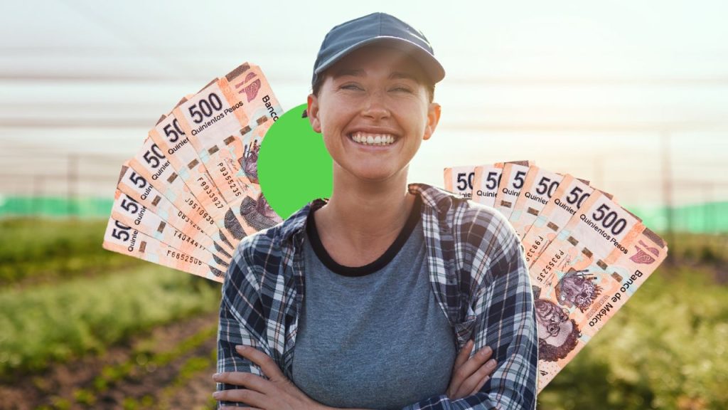 ¡Trabaja en Agricultura! Sueldo $24mil/mes - Conoce los Requisitos